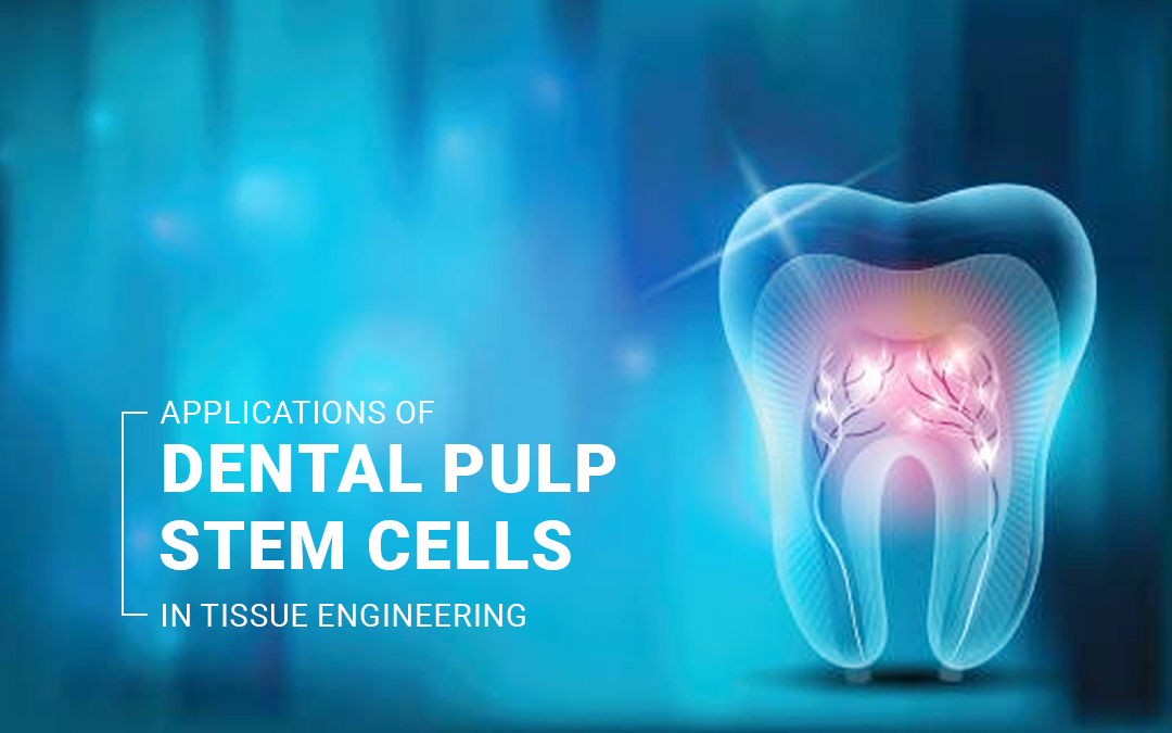 Applications of Dental Pulp Stem Cells in Tissue Engineering - Social ...
